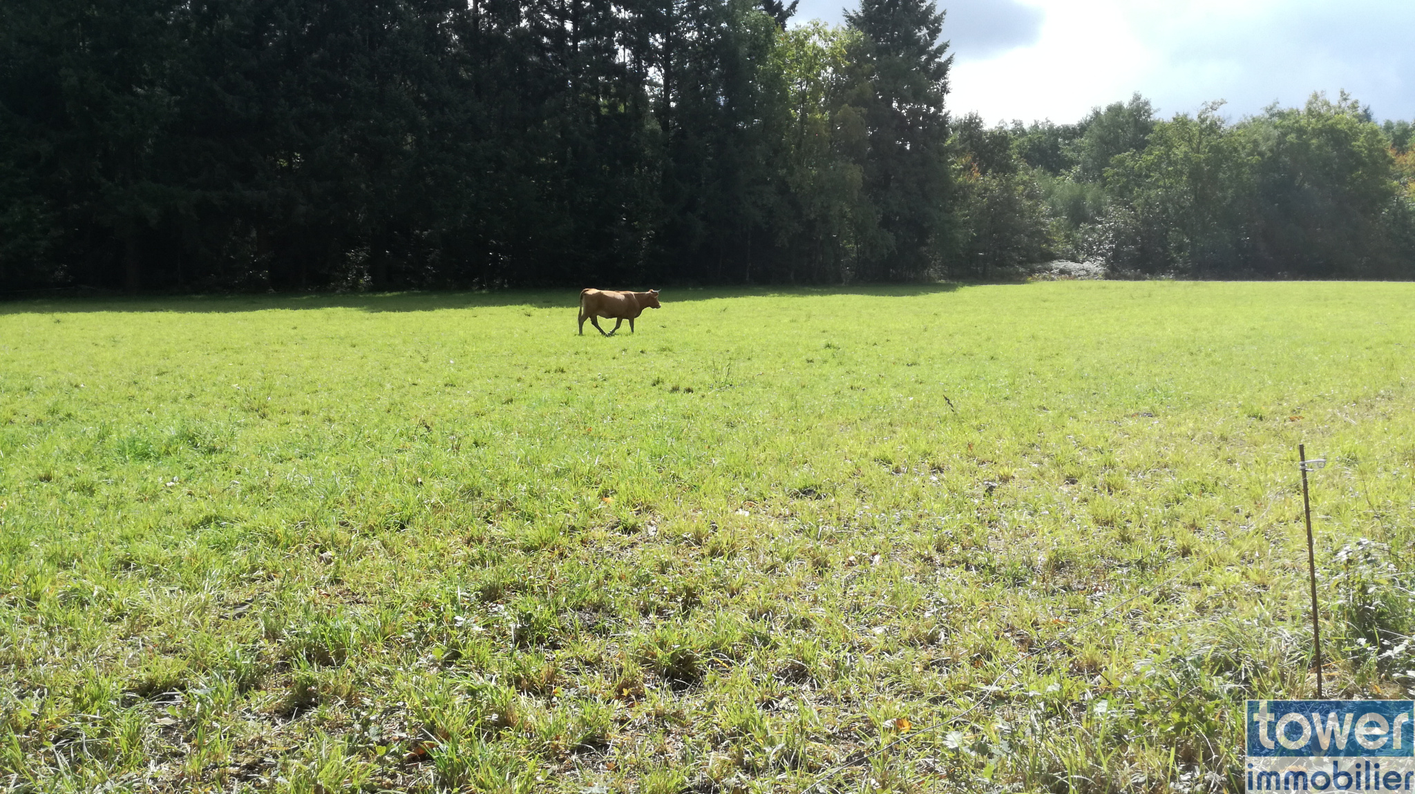 Vente PROPRIETE RURALE De Plus De 100 Hectares 2 5 Constructibles